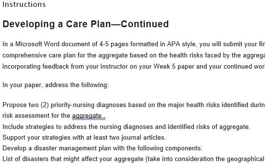 (Solution) NSG4076 Week 6 Project Developing a Care Plan -Continued - Scholarly Guider